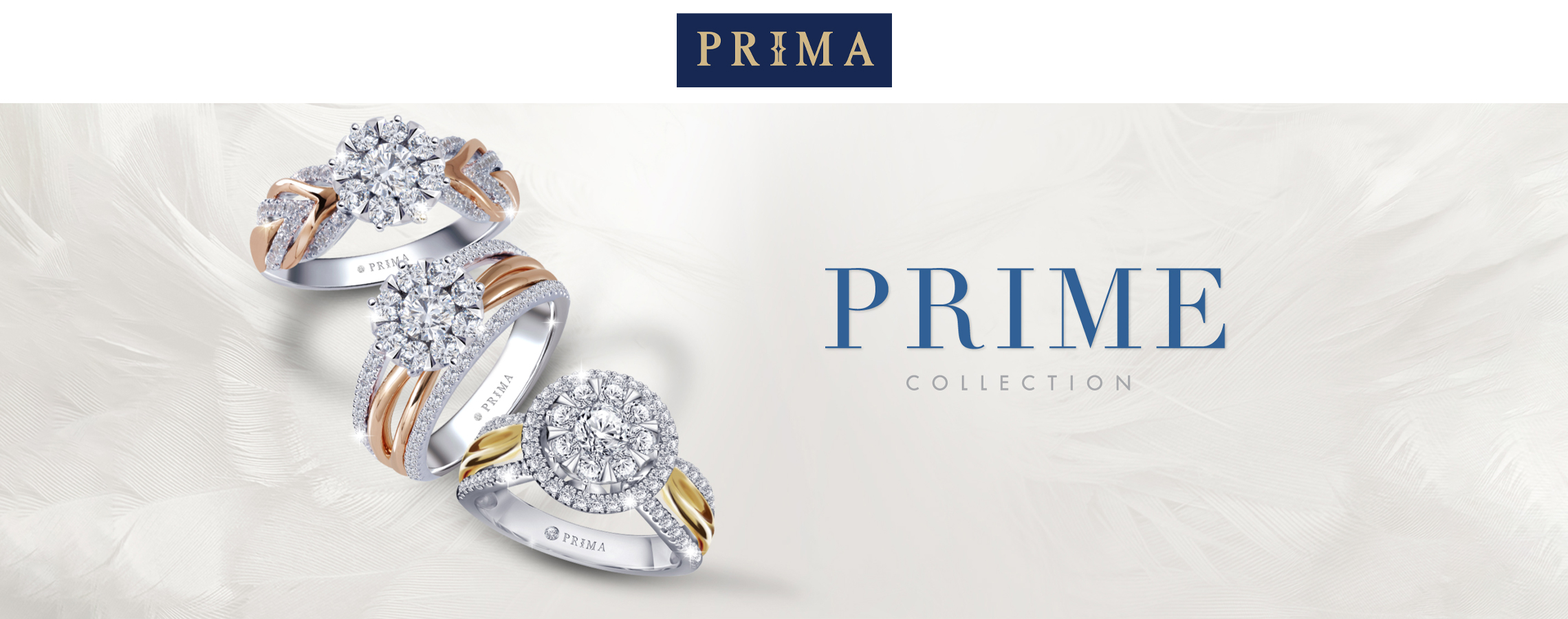 PRIMA - เดอะวิสดอมกสิกรไทย